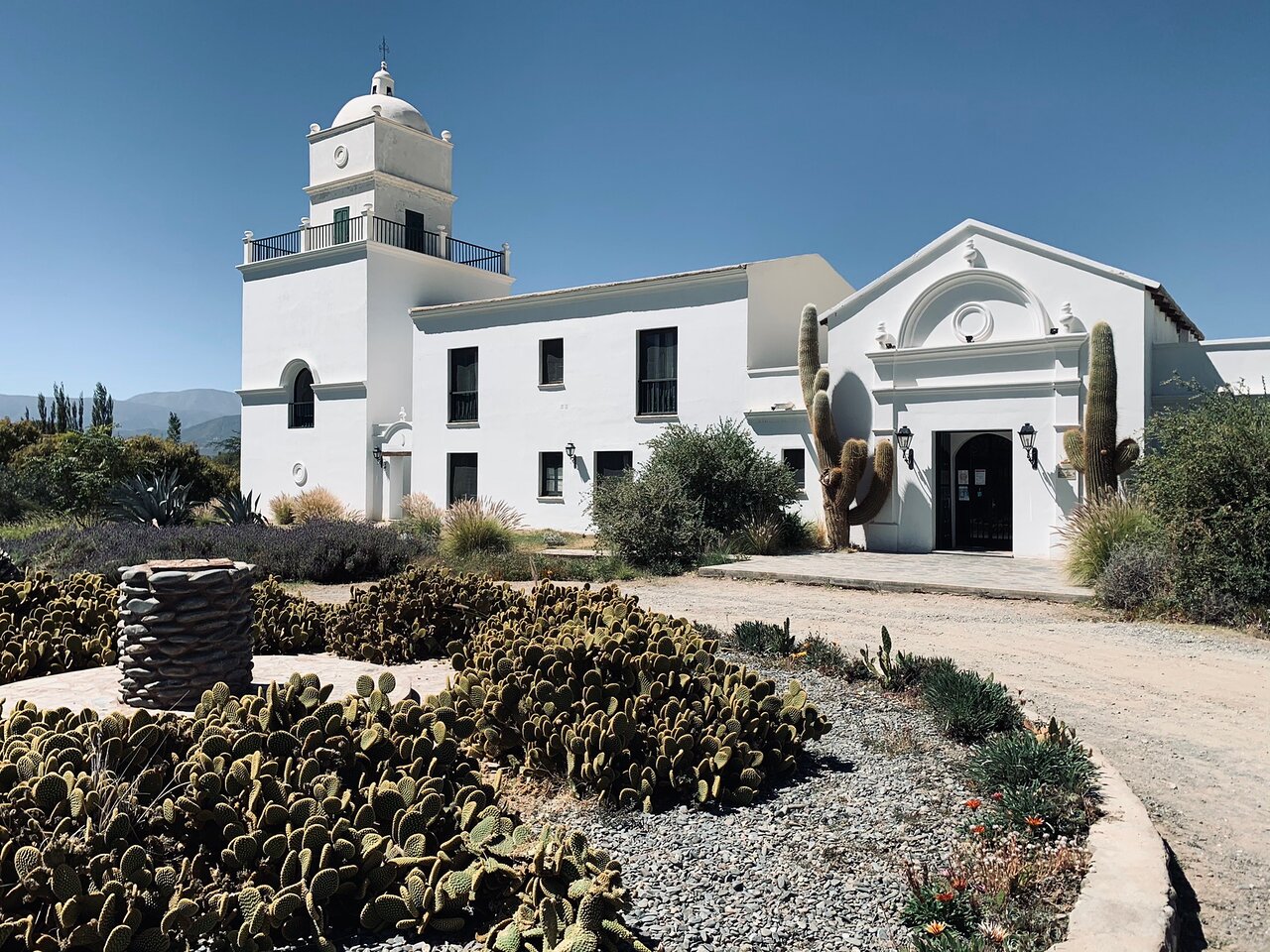 Hotspots: vinhos na Argentina - Avantto